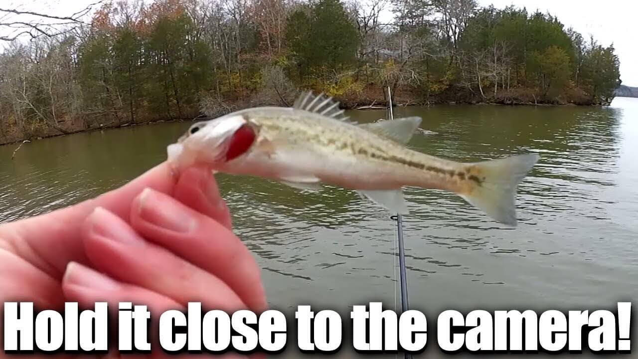 Bank Fishing for Bass - How To Videos, Tips, Tricks & FAQs - Realistic ...